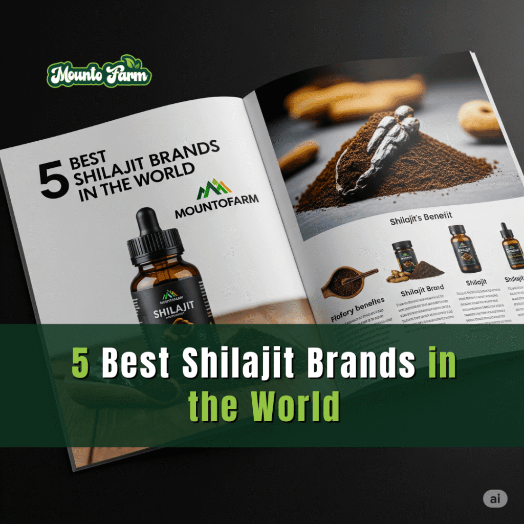 5 Best Shilajit Brands in the World in 2026