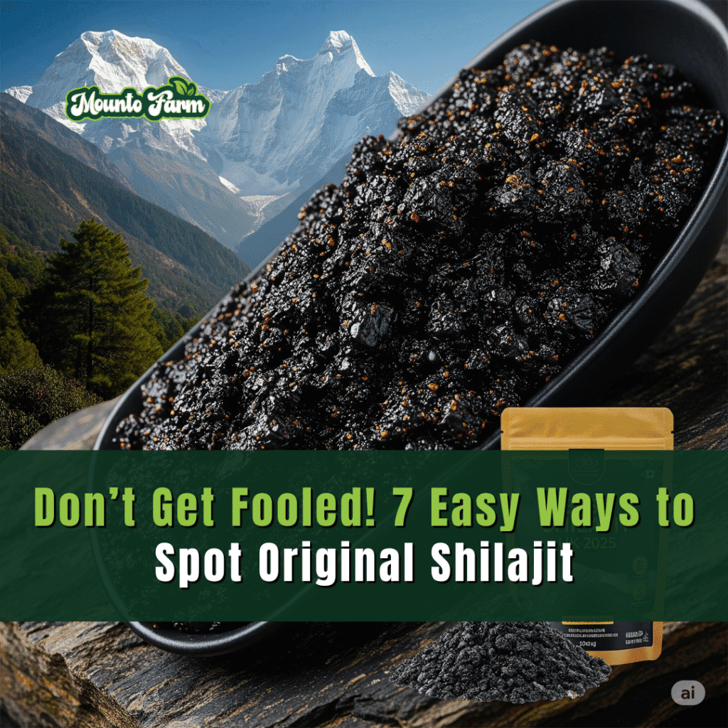 7 Easy Ways to Spot Original Shilajit Fast
