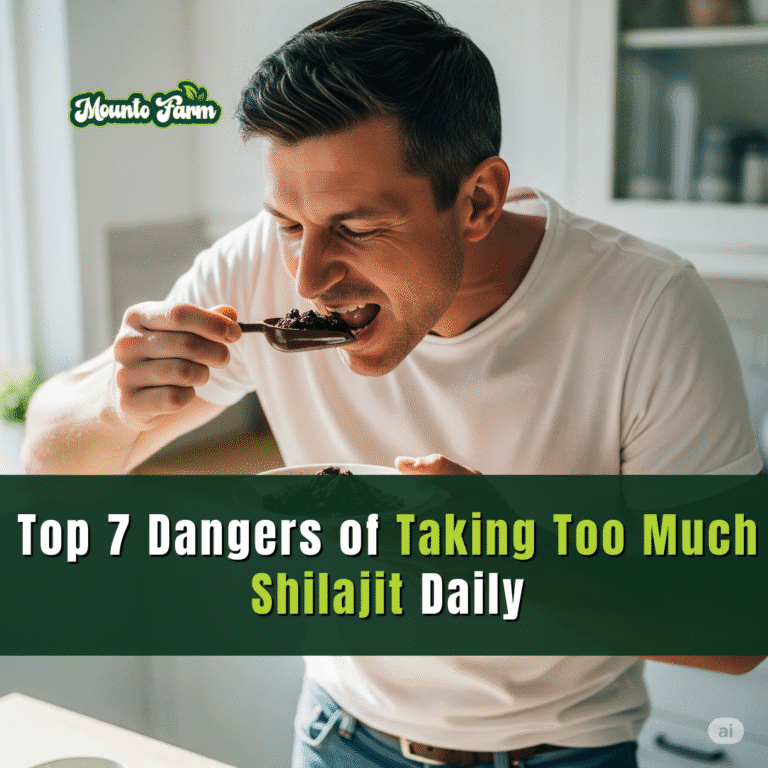Top 7 Dangers of Take Too Much Shilajit Daily? Mountofarm
