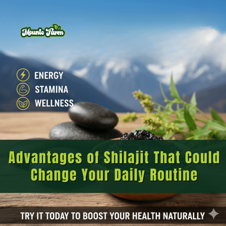 Advantages of Shilajit for Health and Vitality