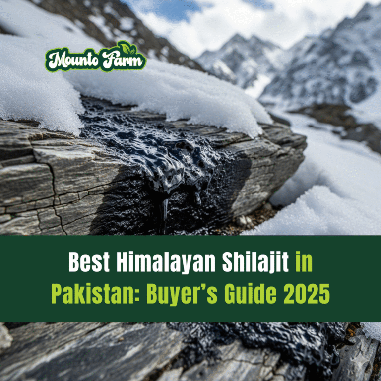 Best Himalayan Shilajit in Pakistan – Pure Resin Guide