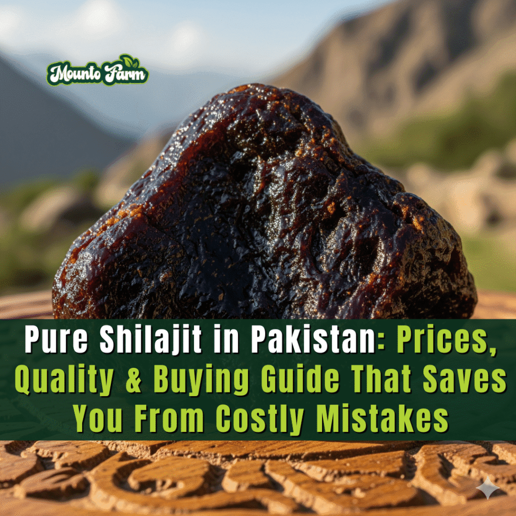 Pure Shilajit in Pakistan - Mountofarm Shilajit : Prices, Quality & Guide