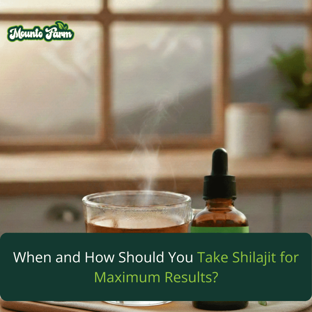 Take Shilajit for Maximum Results: Timing & Dosage Tips