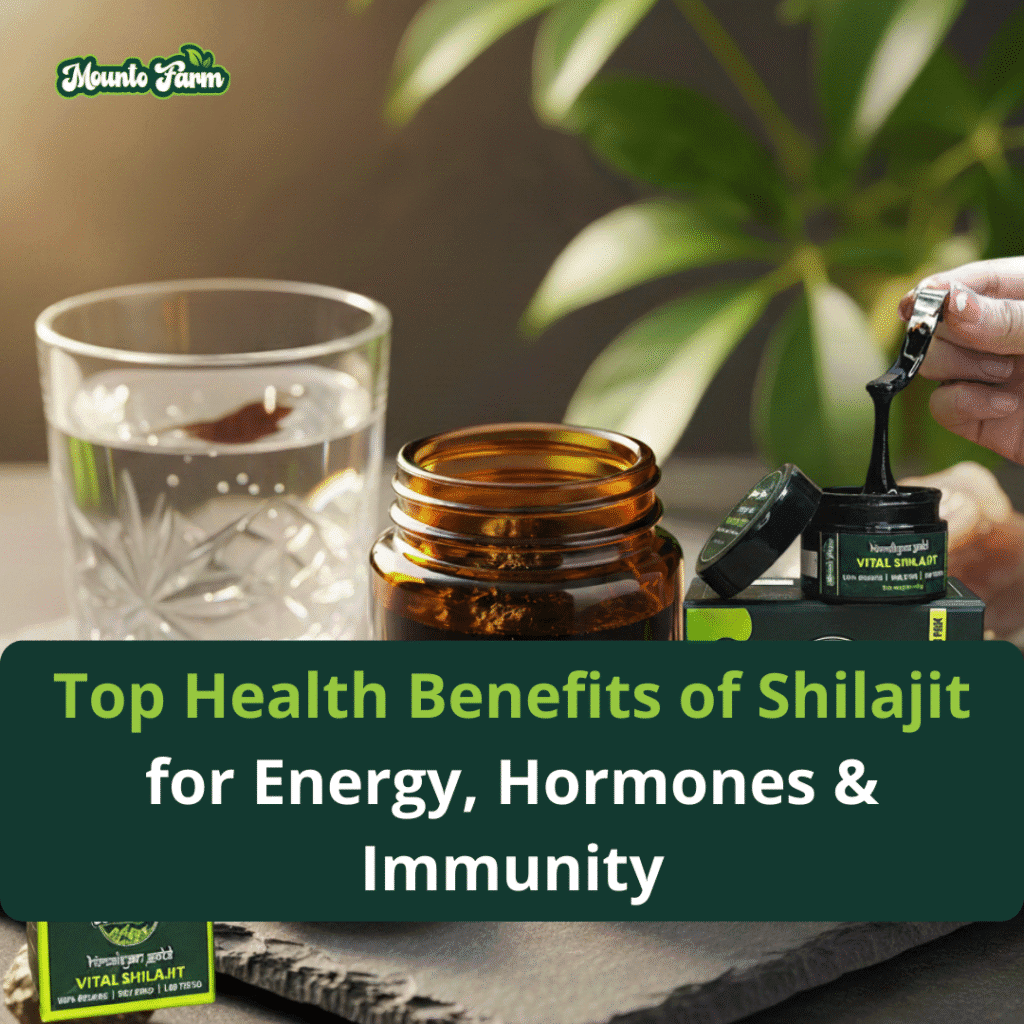Top Health Benefits of Shilajit for Energy & Immunity