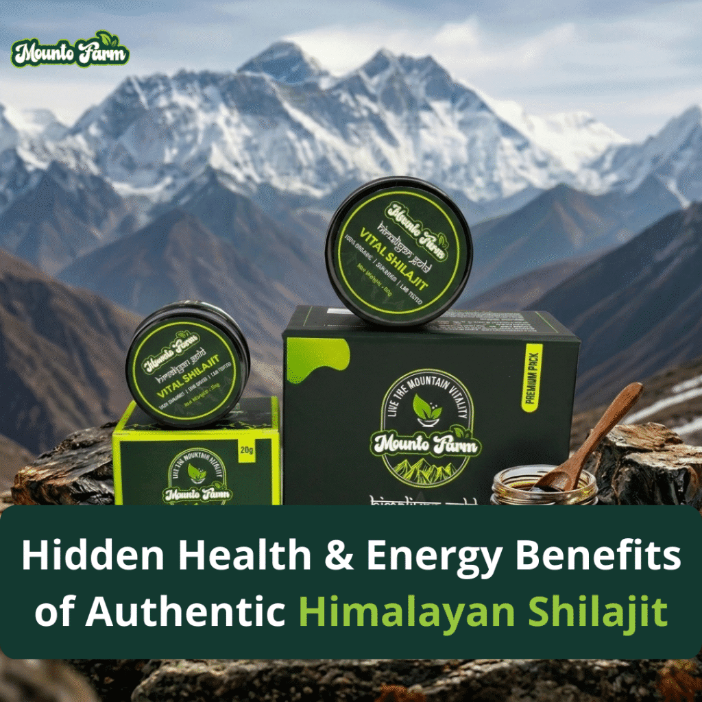 Hidden Health & Energy Benefits of Himalayan Shilajit